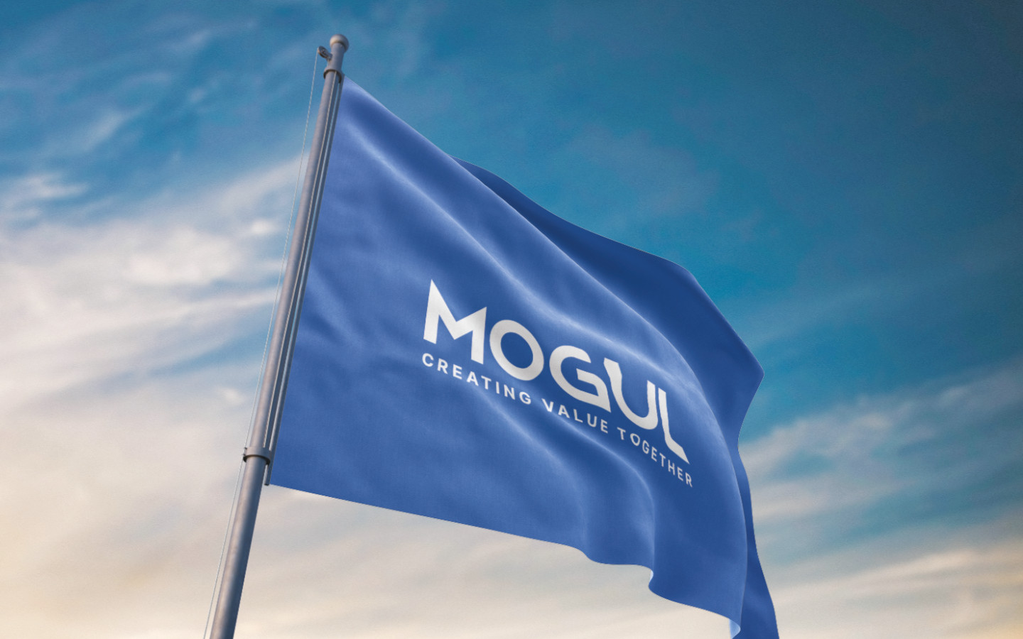 ITZONE - Мэдээлэл технологийн Могул